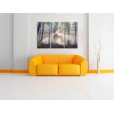 Elements by Hardware Resources Fairview Wall Mounted Conventional Robe Hook & Reviews | Wayfair